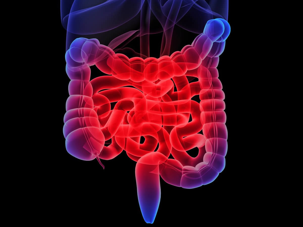 Ayurvedic Treatment For IBD Inflammatory Bowel Disease Bless Ayurveda